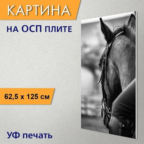 Вертикальная картина на ОСП "Лошадь, голова, черное и белое" 62x125 см. для интерьериа