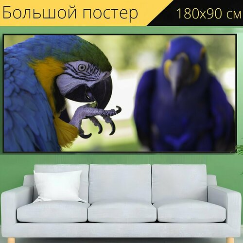 Большой постер "Попугай, птица, экзотика" 180 x 90 см. для интерьера