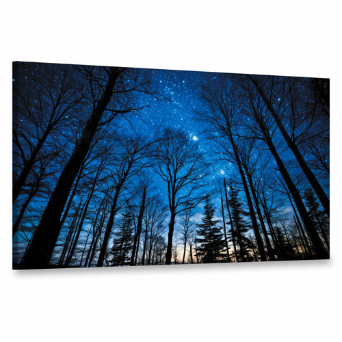 Интерьерная картина 100х60 "Лес и звездное небо"