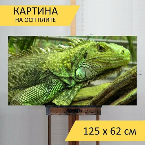 Картина на ОСП 125х62 см. "Игуана, рептилия, животное" горизонтальная, для интерьера, с креплениями