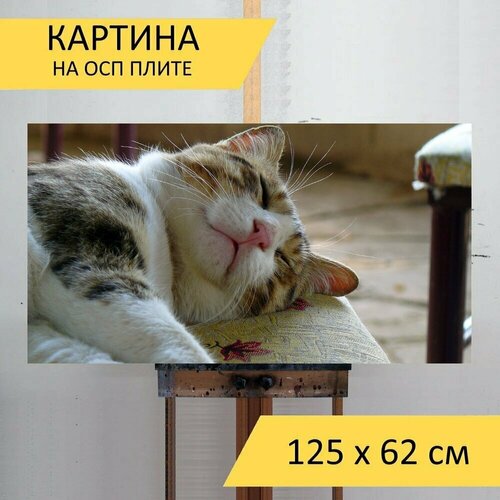 Картина на ОСП 125х62 см. "Египет, животное, кот" горизонтальная, для интерьера, с креплениями