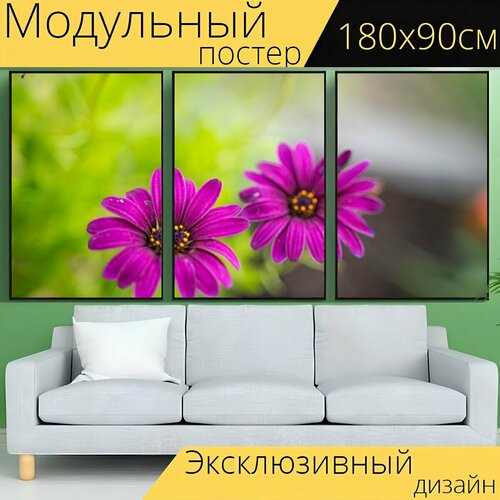 Модульный постер "Цветы, фиолетовые цветы, сад" 180 x 90 см. для интерьера