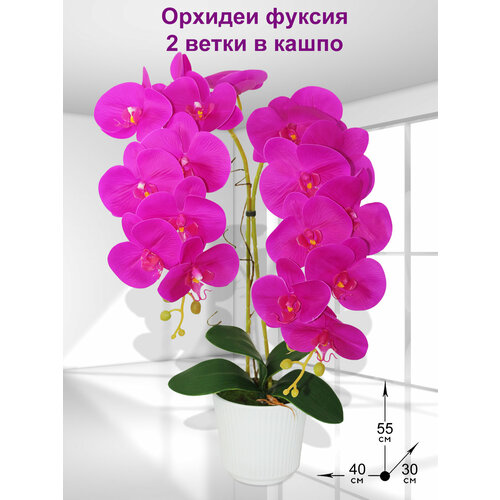 Искусственные Орхидеи фуксия 2 ветки латекс в кашпо, 55см от ФитоПарк