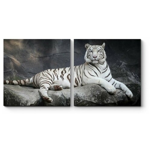 Модульная картина Величественный белый тигр 120x60