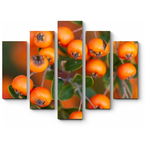 Модульная картина Спелые ягоды рябины 95x76