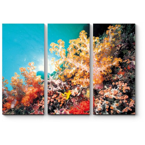 Модульная картина Яркий коралловый мир 60x43