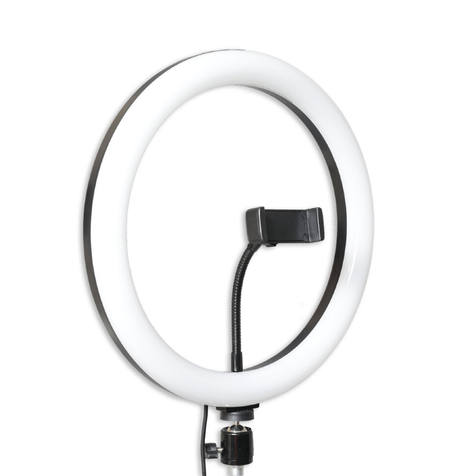 Кольцевая лампа Fujimi FJL-RING12, 31 см, White/Black