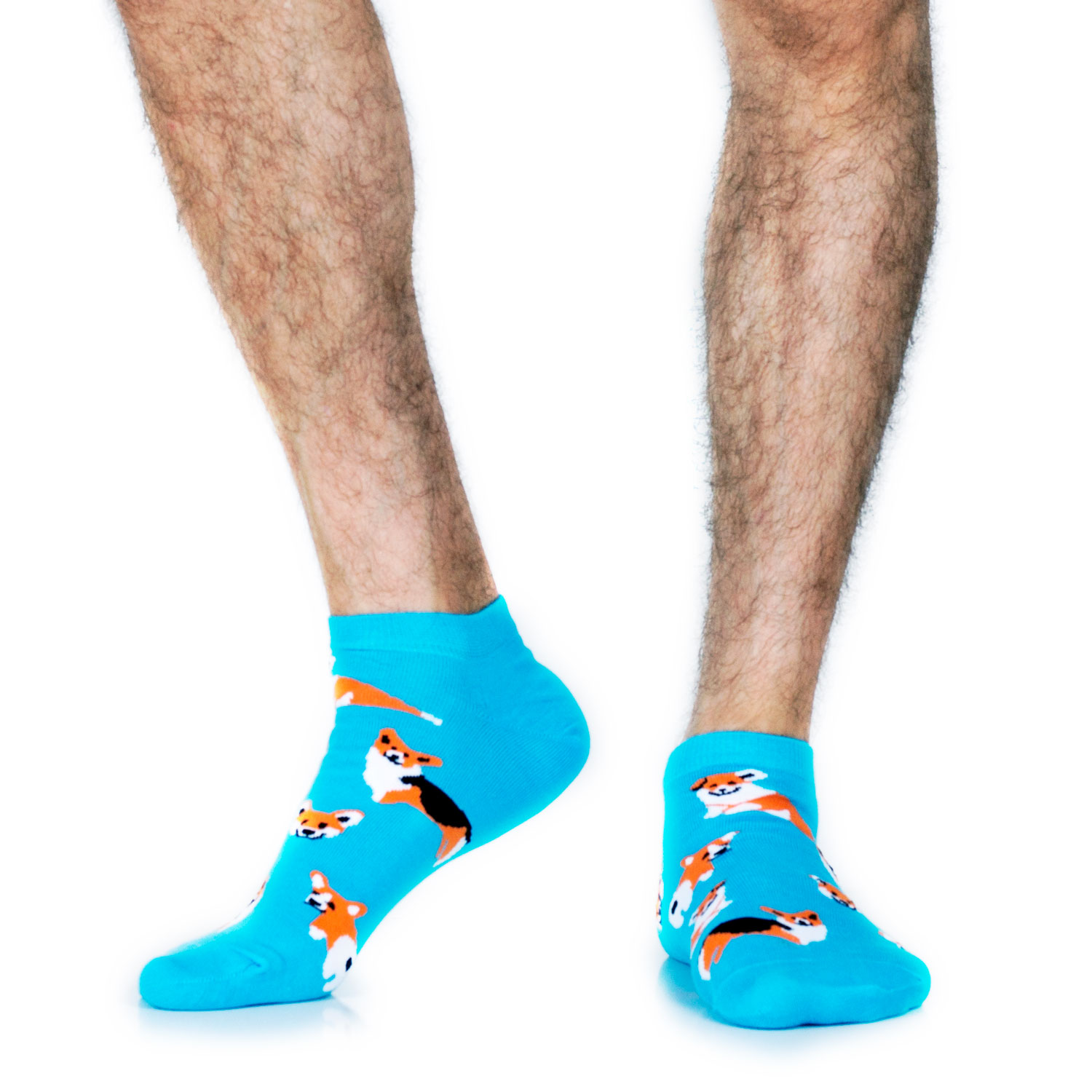 Носки St. Friday Socks Корги голубые 42-46