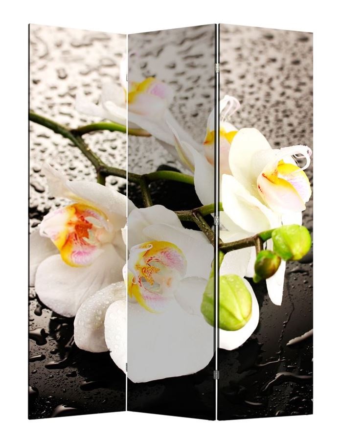 Ширма RB 1111-3 Белая орхидея и капли (3 панели) Рисунок (Белая орхидея и капли)