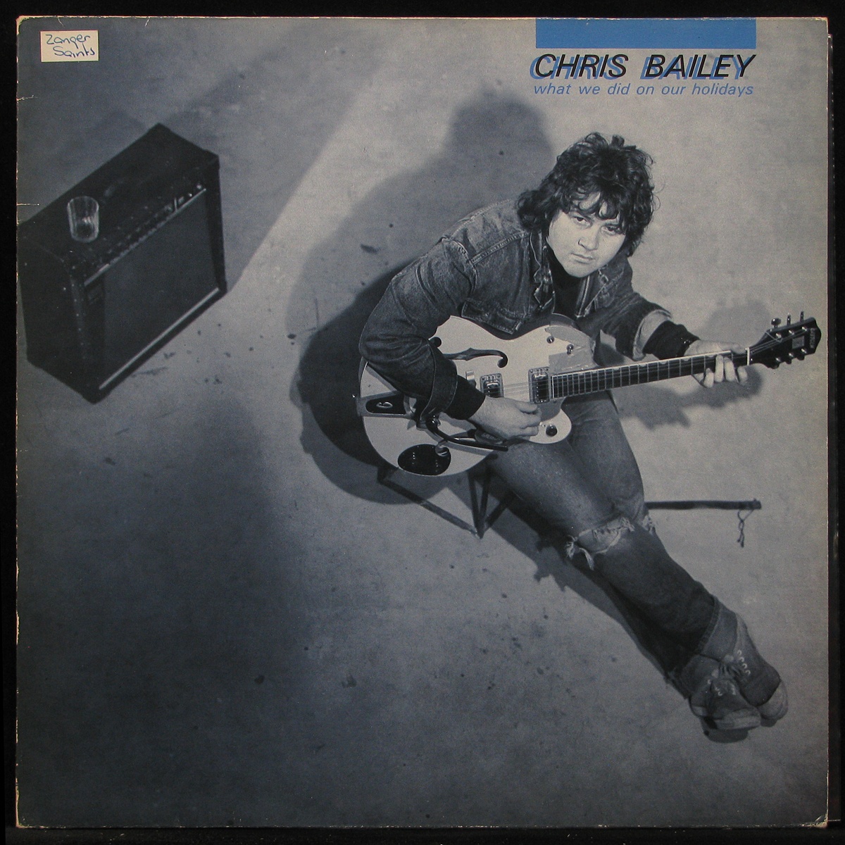 LP Chris Bailey - What We Did On Our Holidays New Rose (295813)