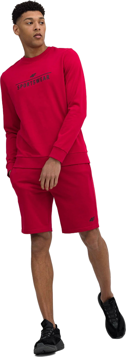 Спортивные шорты мужские SHORTS CAS M156 4F красные L