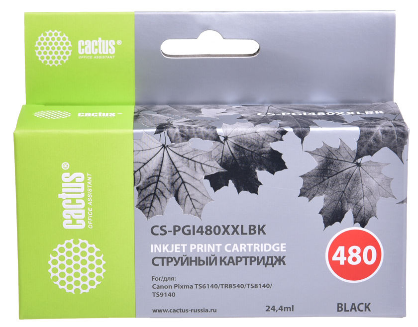 Картридж для струйного принтера CACTUS CS-PGI480XXLBK (CS-PGI480XXLBK) черный, совместимый