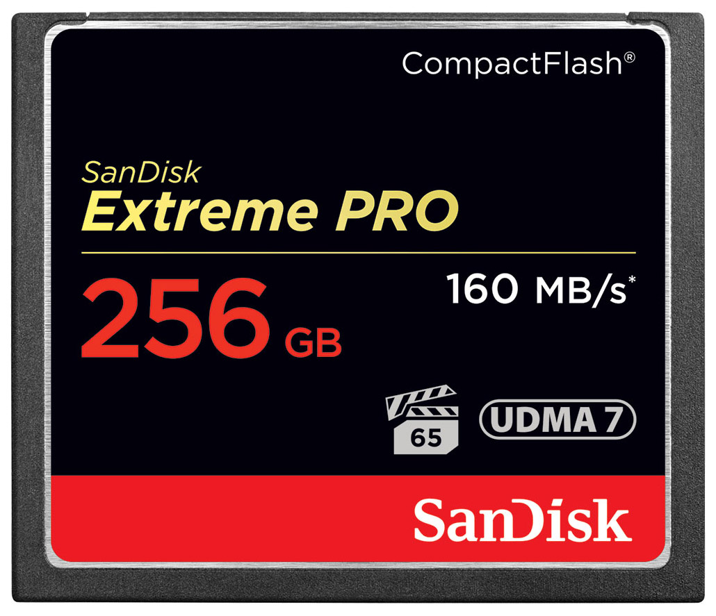 Карта памяти SanDisk Compact Flash ExPro SDCFXPS-256G-A46 256GB