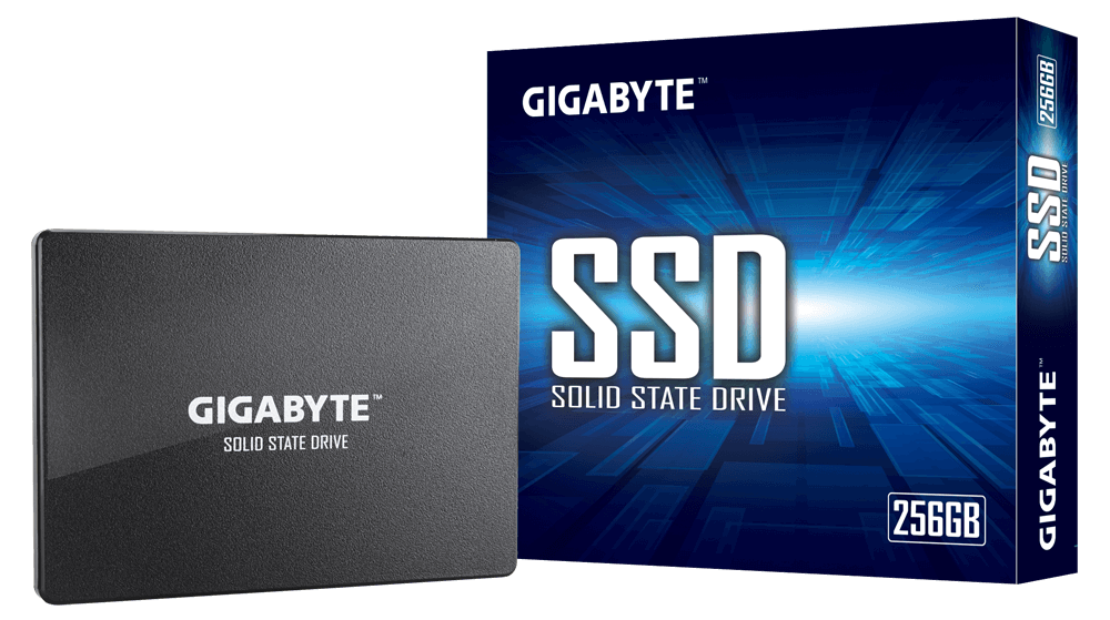 SSD накопитель GIGABYTE GP-GSTFS31256GTND 2.5" 256 ГБ