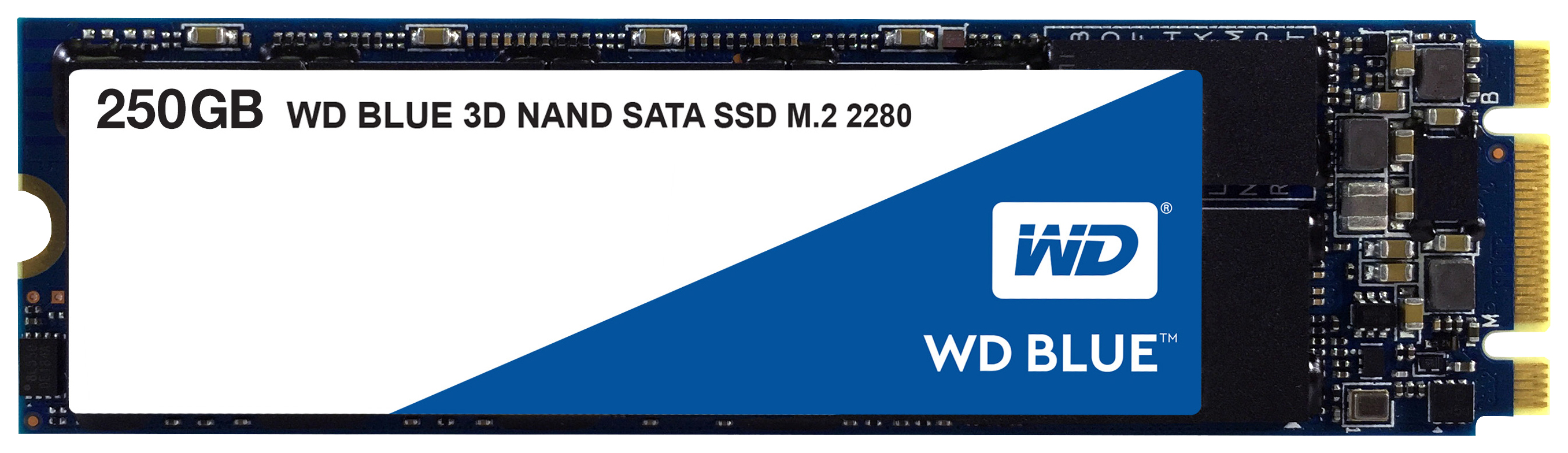SSD накопитель WD Blue M.2 2280 250 ГБ (WDS250G2B0B)