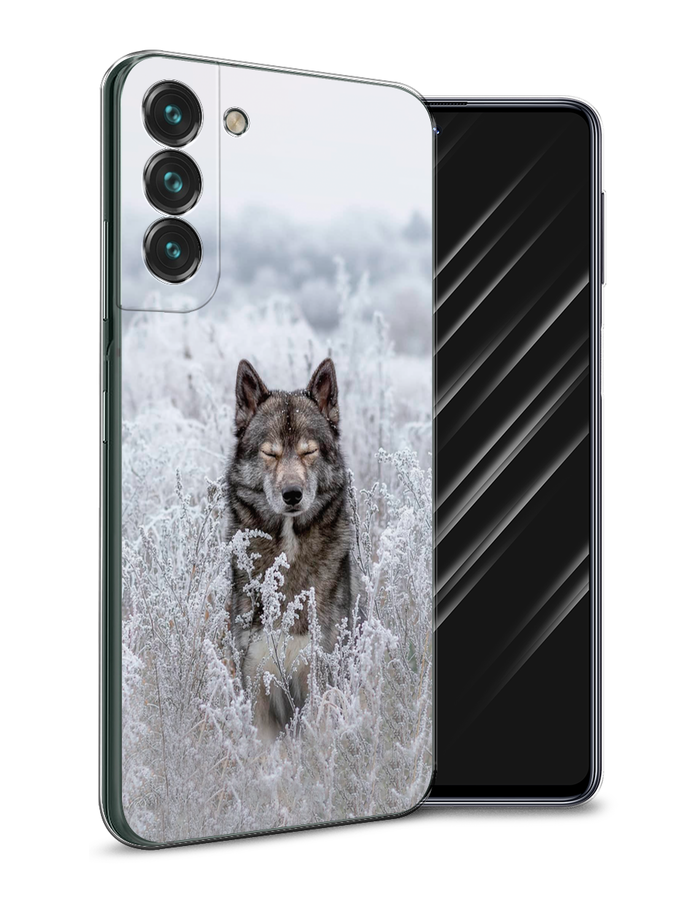 Чехол Awog на Samsung Galaxy S22 + / Самсунг S22 + "Волк в поле"