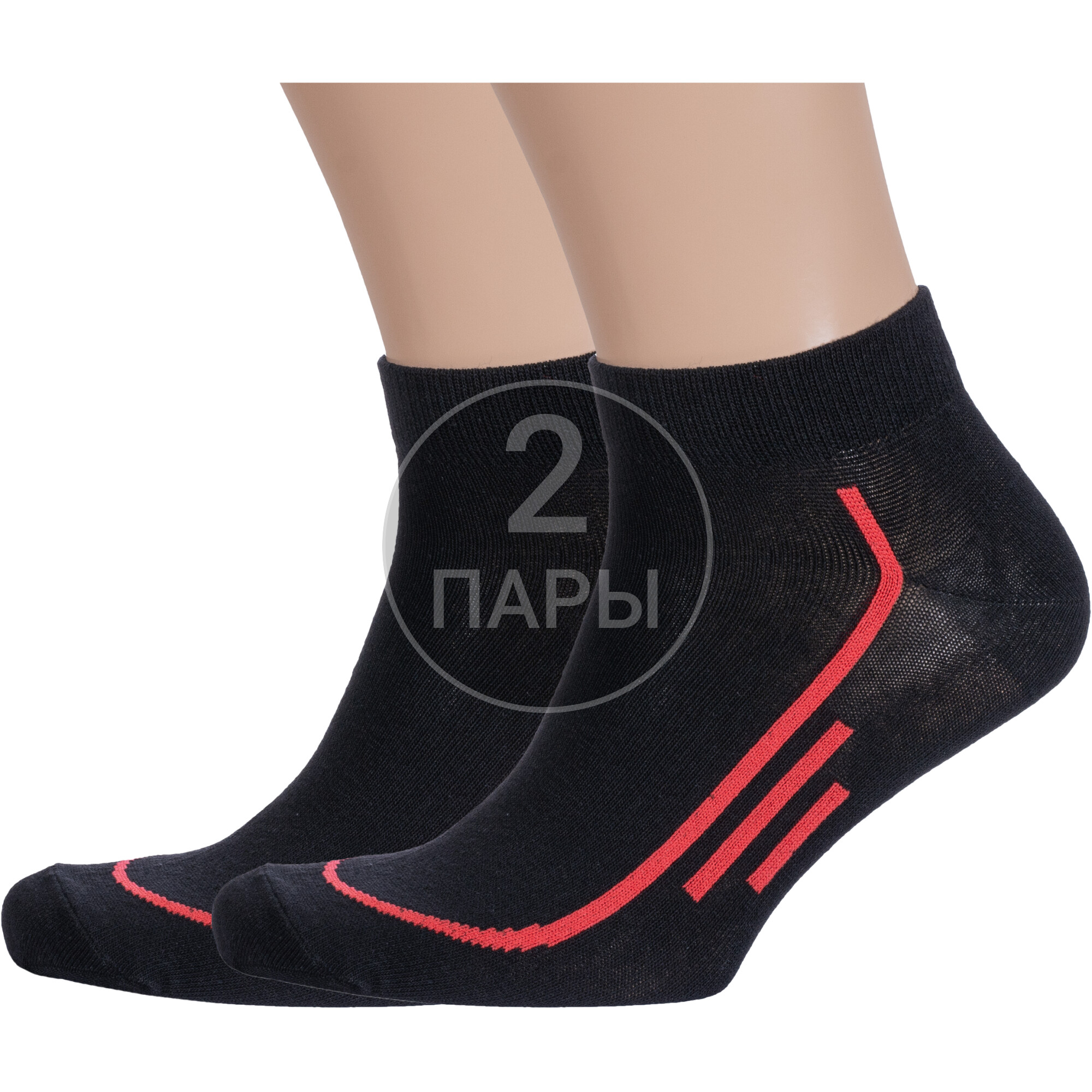 Комплект носков мужских Борисоглебский трикотаж 2-4С3001 разноцветных 25-27