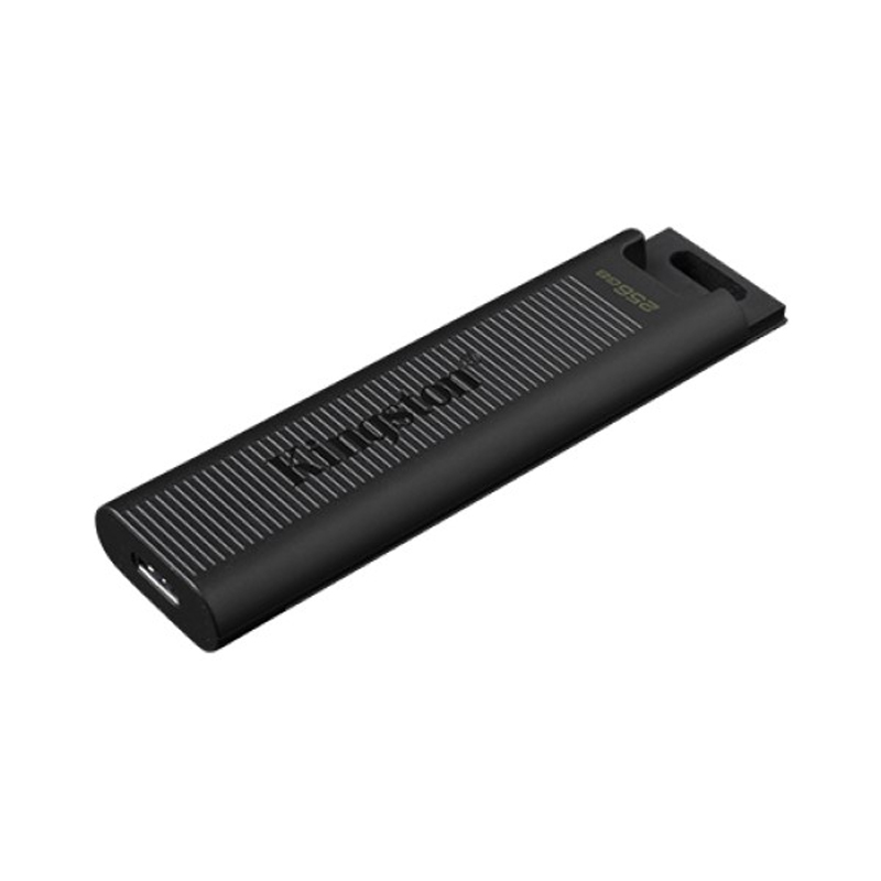 Флешка Kingston 256 ГБ (DTMAX/256GB)