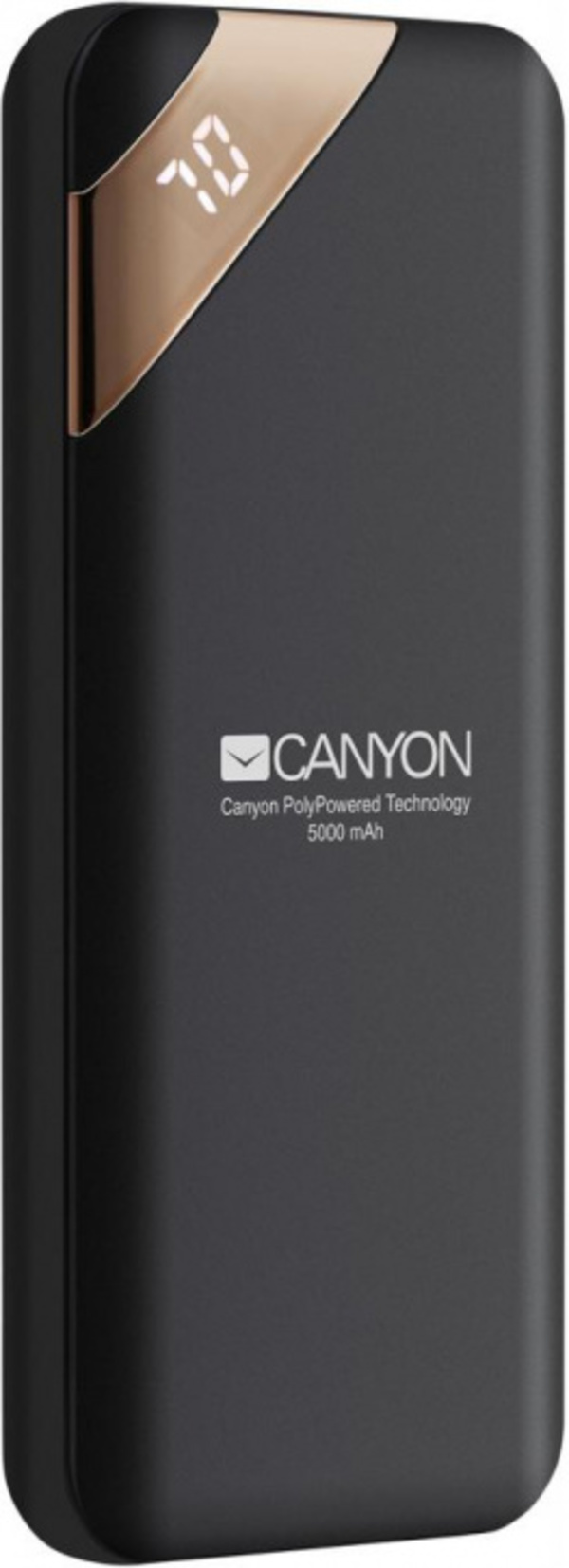 Canyon CNE-CPBP5B 5000 мАч (черный)
