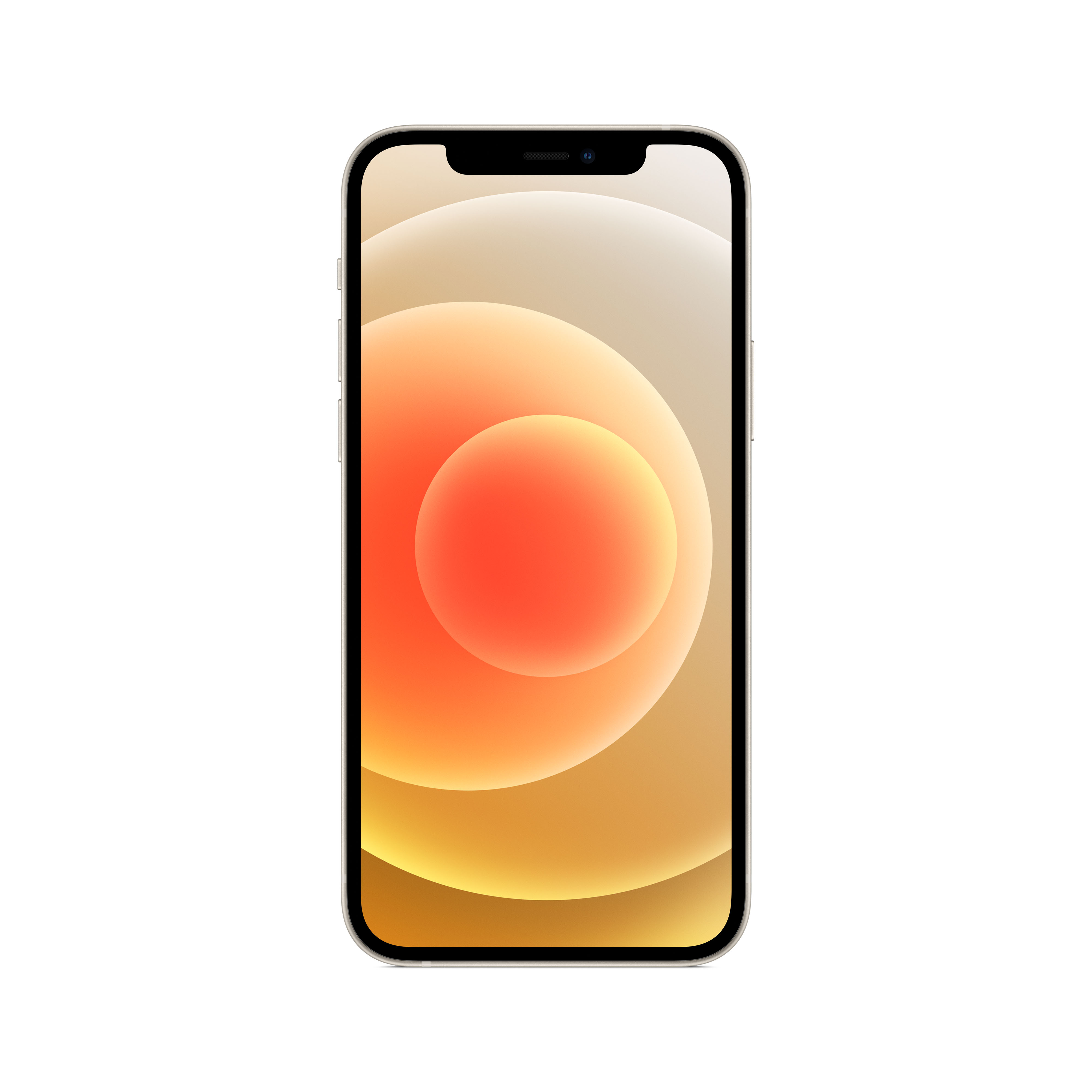 Смартфон Apple iPhone 12 64GB White (MGJ63RU/A)