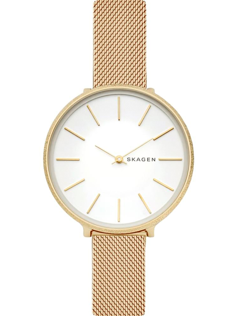 Наручные часы Skagen LADIES SKW2722